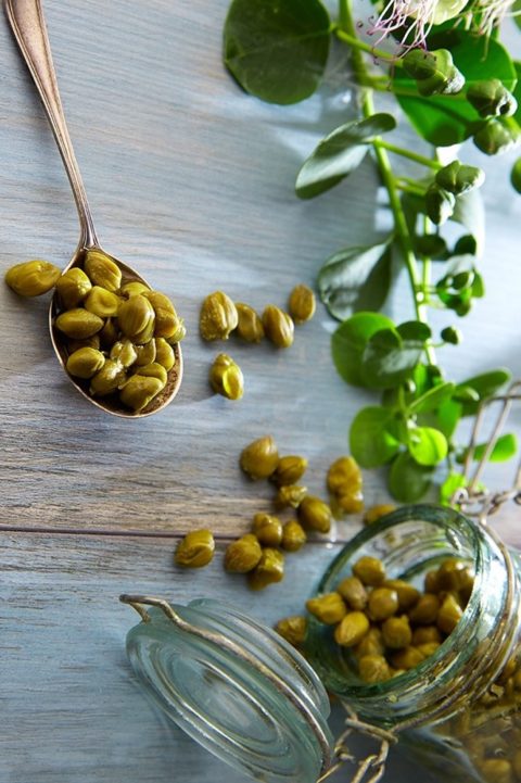Zoom sur les câpres - Origine-Food